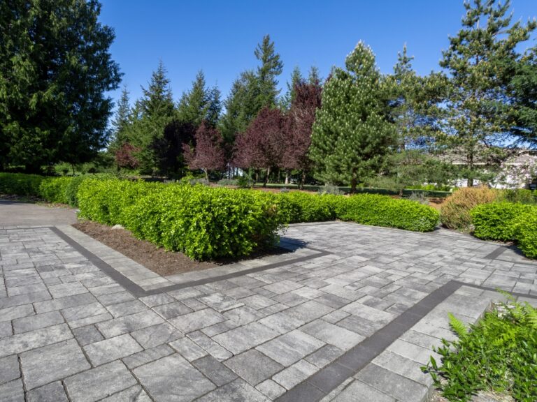 What factors affect the cost of pavers? | Eli's Paver Patios